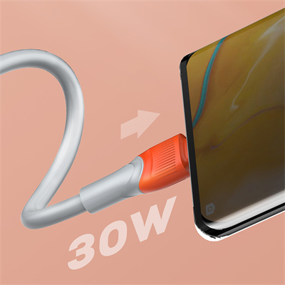 CABLE DE DATOS LDNIO 30W